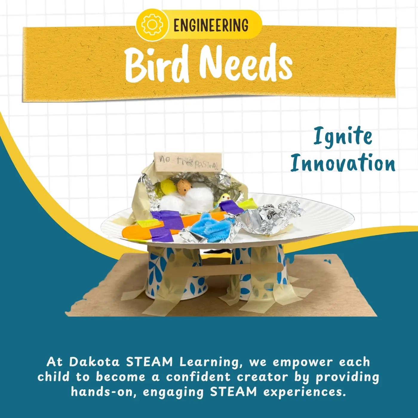 Bird Needs - South Dakota Steam Learning